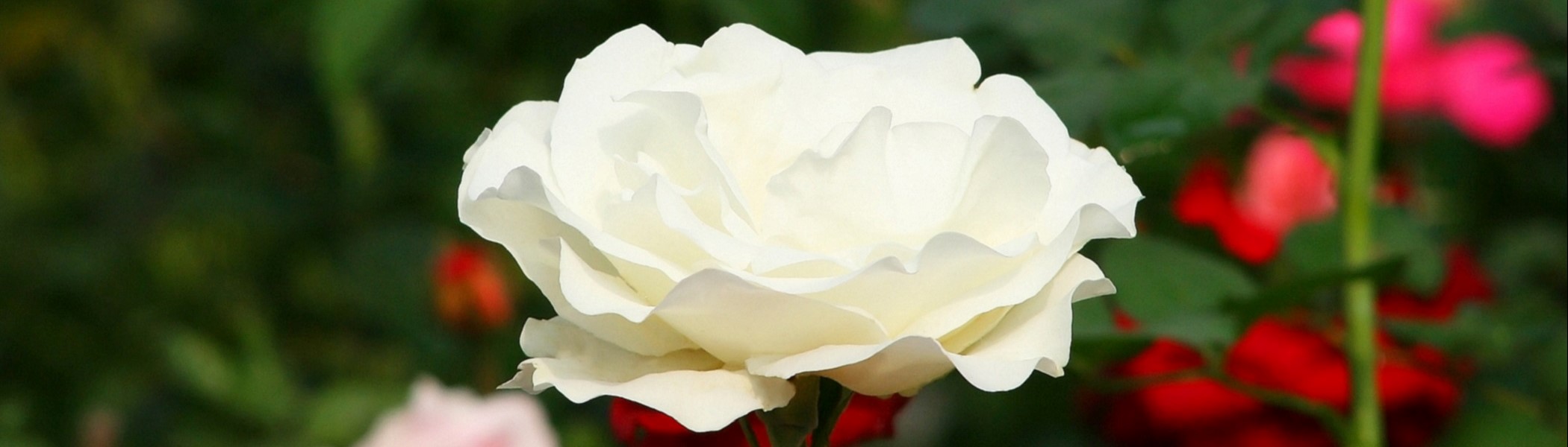 IET - Institution of Engineering and Technology